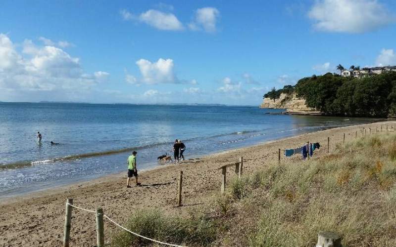 Long Bay Regional Park | Freedom/Basic Camp | New Zealand